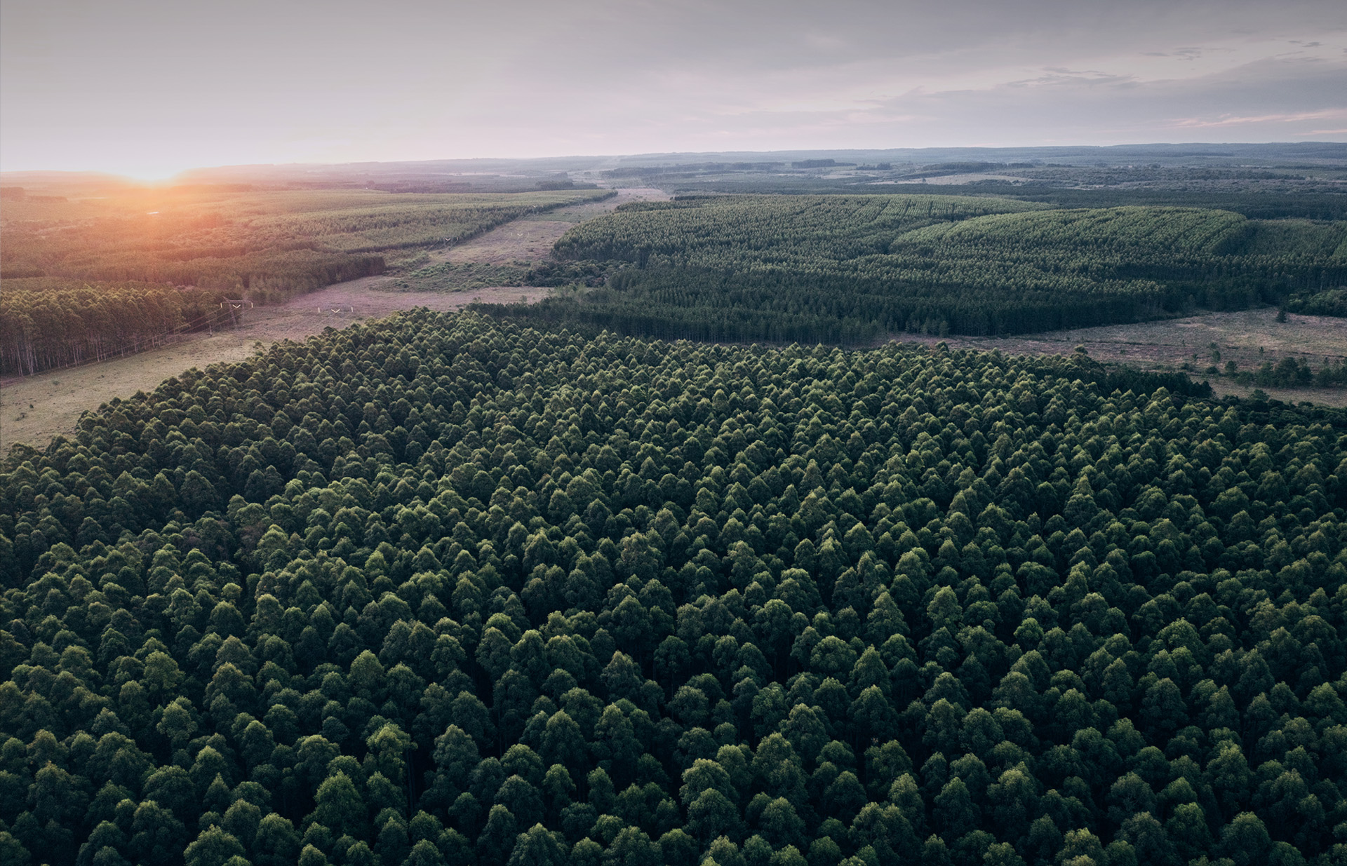 GARABI Casas - Un nuevo concepto de construir y habitar